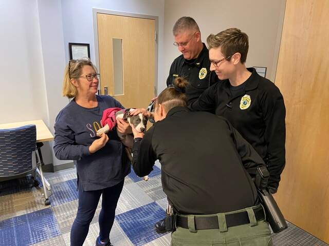 Stolen puppy from Holly Springs NC pet rescue event found | Raleigh ...