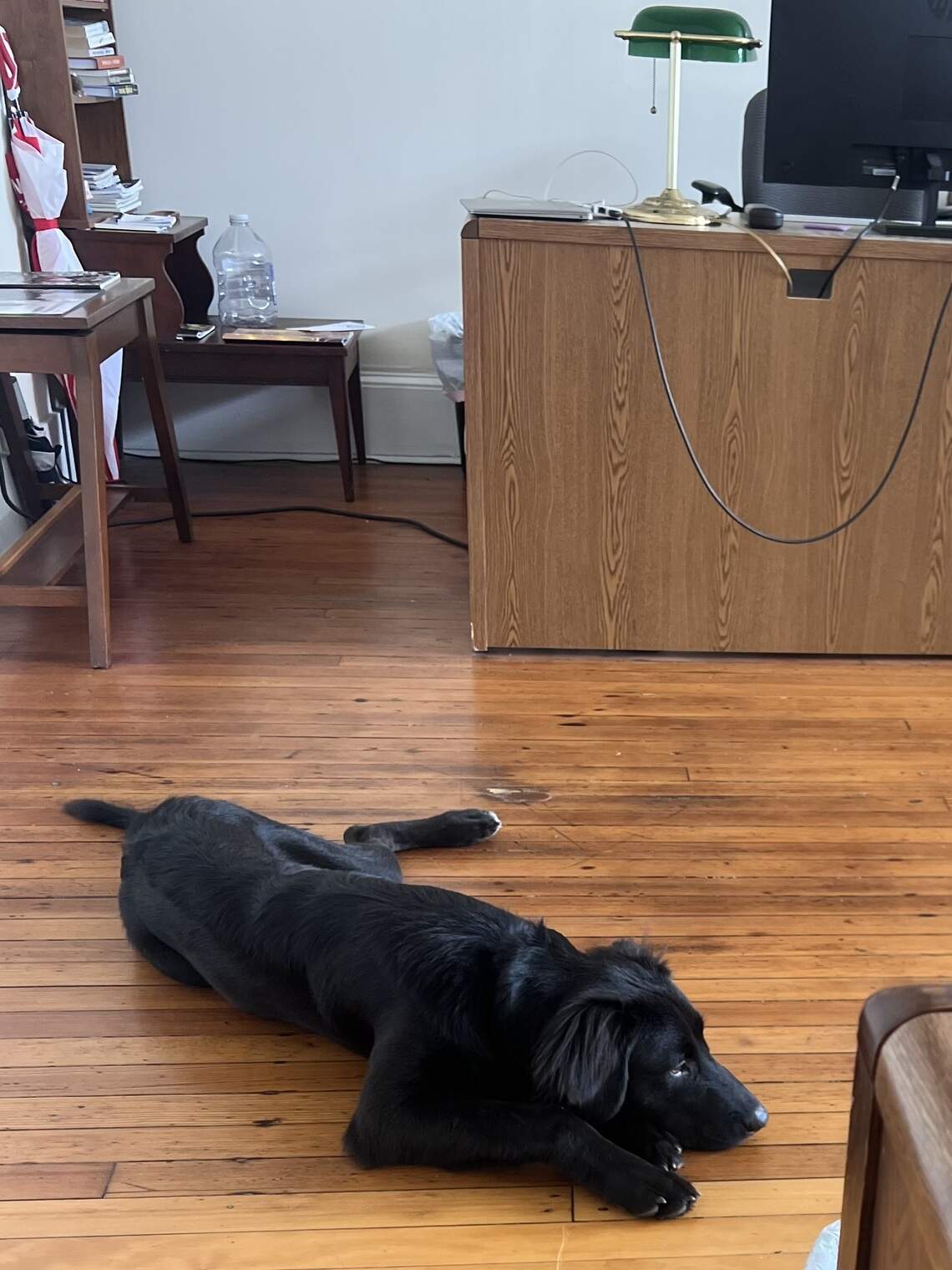 Local news thrives at tiny NC paper with 3 on staff plus dog | Raleigh ...