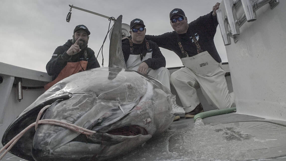 Wicked Tuna: Outer Banks Season 7, I’ll Be Gone in the Dark | Raleigh ...