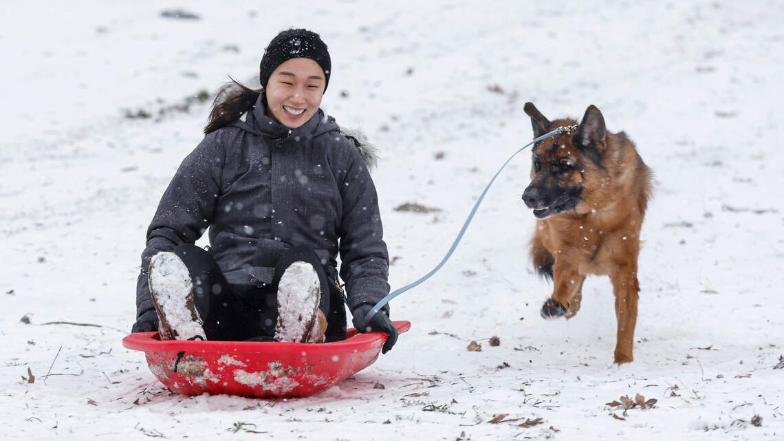 A great day for sledding at Raleigh's Dix Park as snow hits the ...