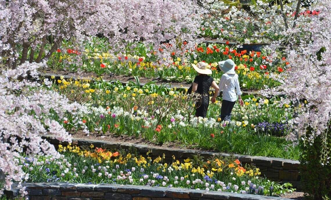 Best parks & gardens in Raleigh, Cary, Durham, Chapel Hill | Raleigh ...