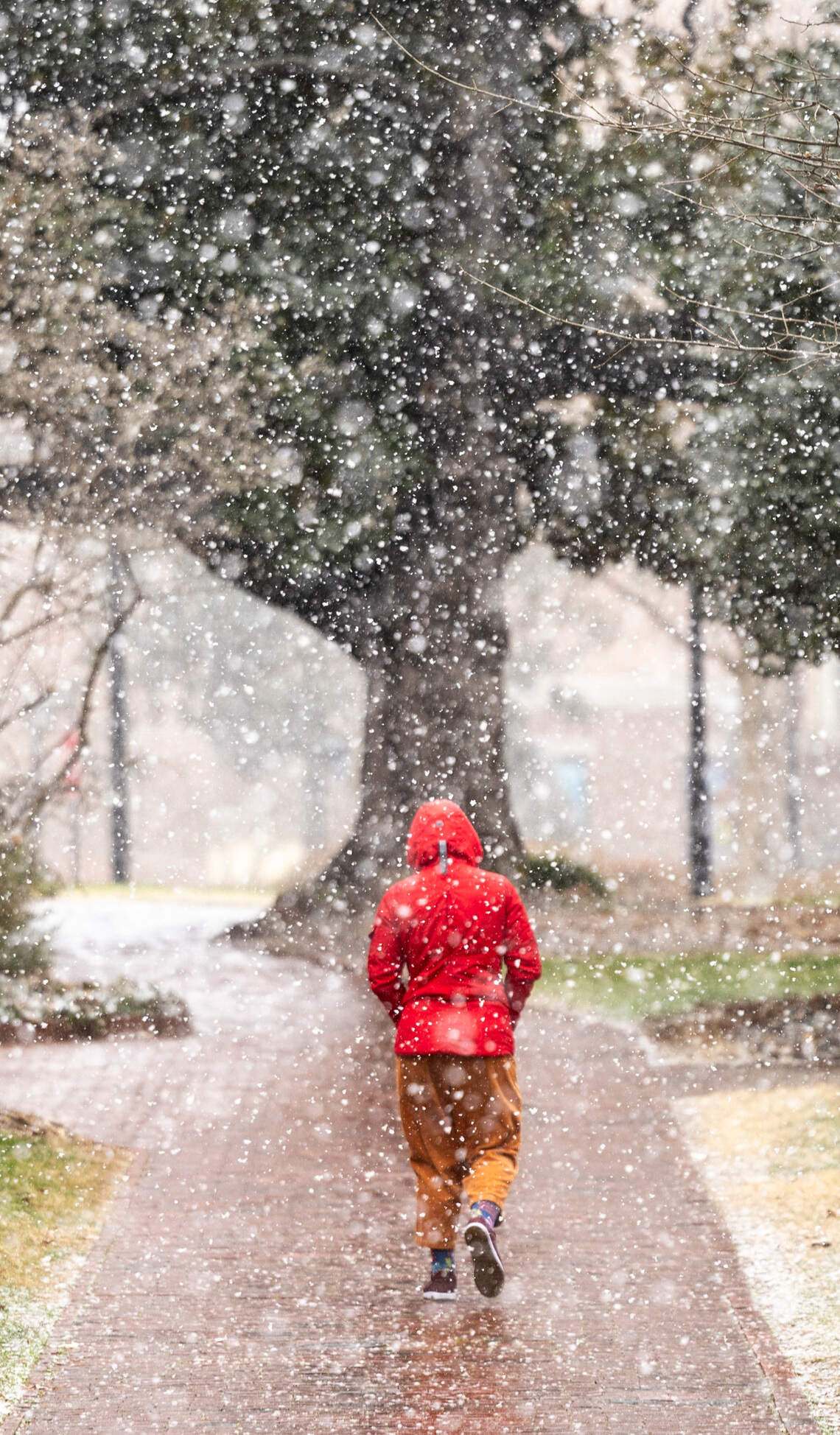 Snow, weather photos from Raleigh, Durham NC for 3rd snowfall | Raleigh ...