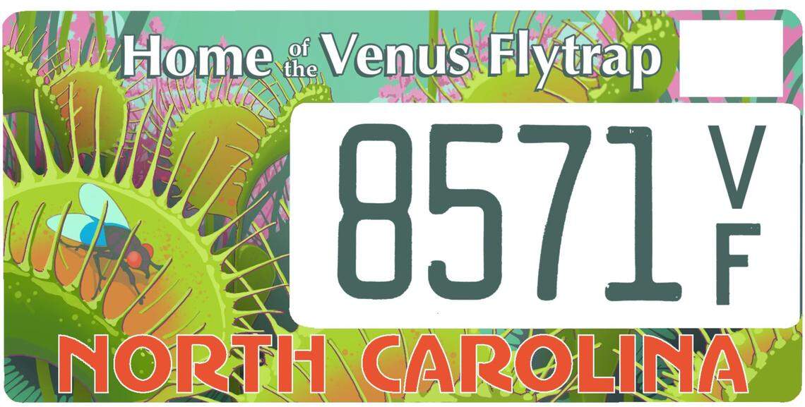 See the new North Carolina dinosaur license plate | Charlotte Observer