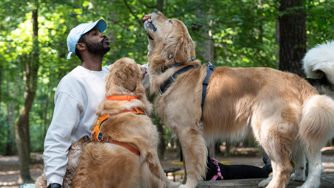 Pup Park Shuttle takes dogs for adventures in Raleigh NC | Raleigh News ...
