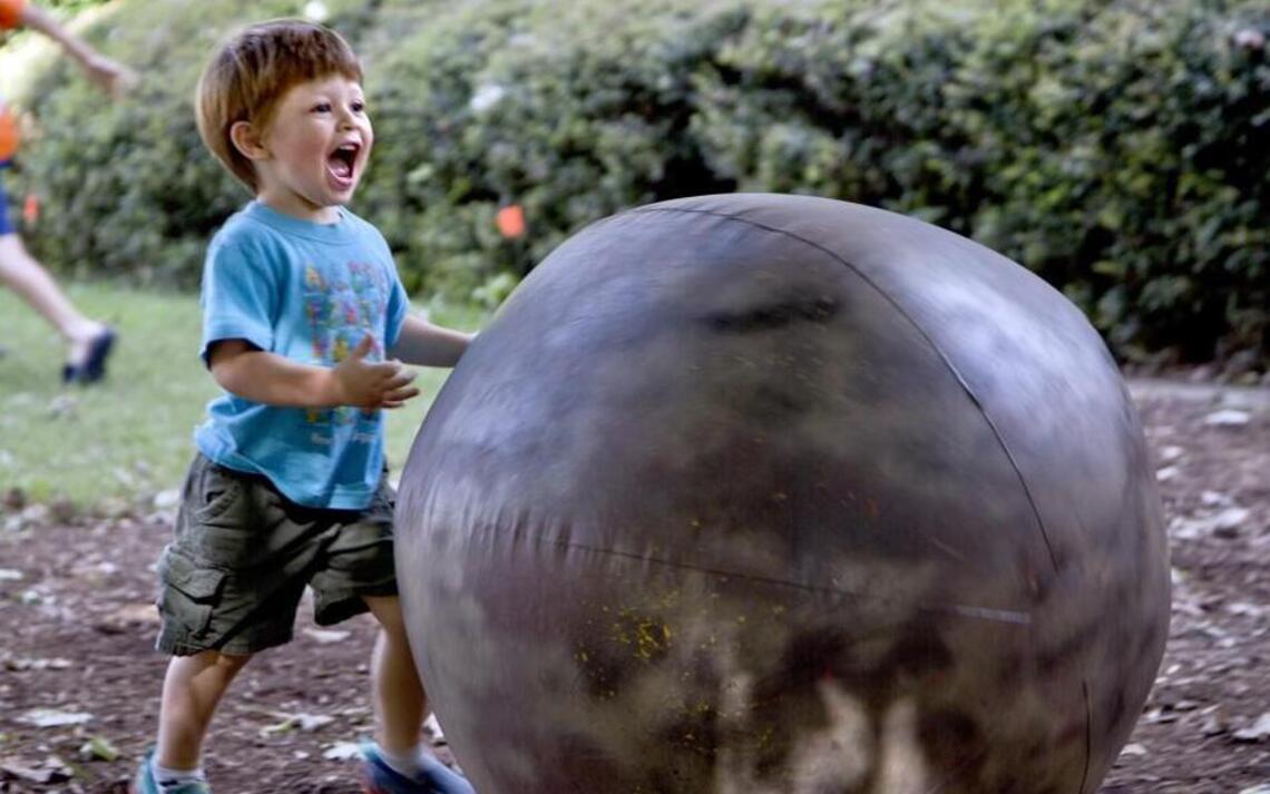 Cicadas star in Bugfest 2015 in downtown Raleigh | Raleigh News & Observer